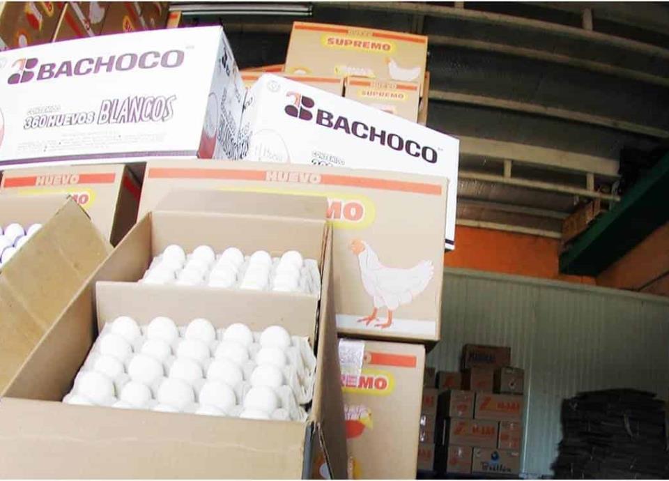 Repunte de precios huevo y pollo impulsan ventas de Bachoco