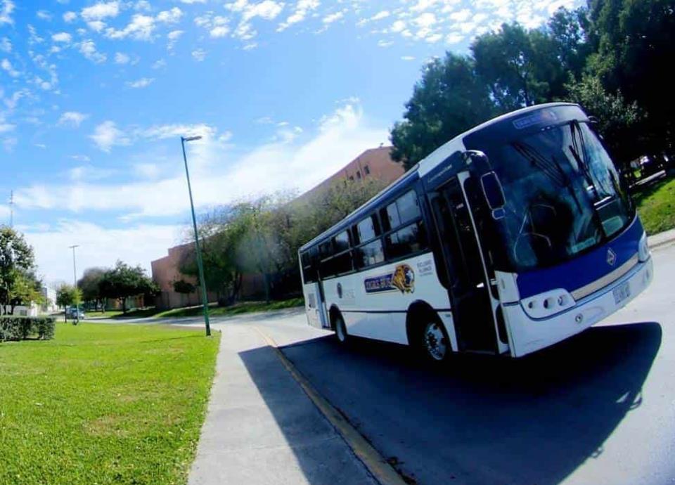 ¿Dónde y cuando pasa el Tigrebus? Aquí te decimos